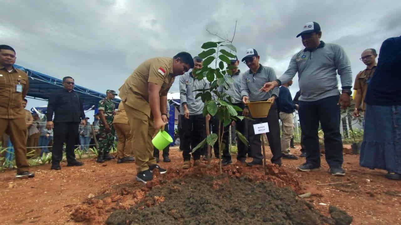 Lahan 6,3 Hektare Bekas Tambang Bauksit di Bintan Jadi Ruang Terbuka Hijau