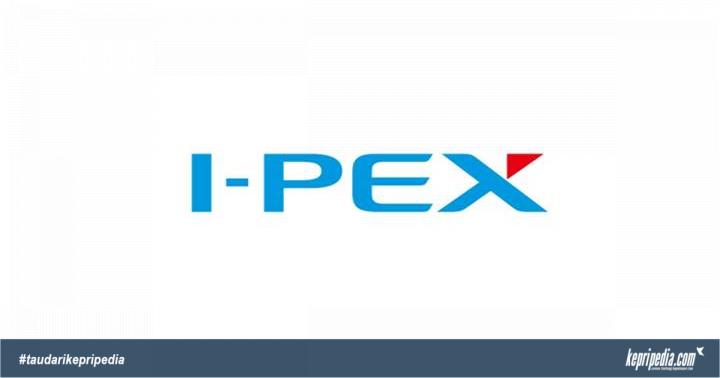 Lowongan Kerja Engineer atau Asisten Engineer PT IPEX Indonesia Inc