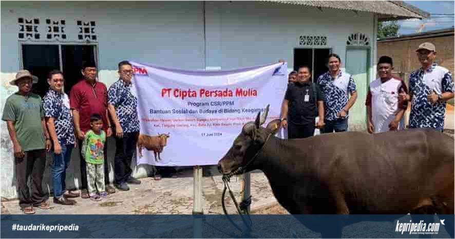 PT Cipta Persada Mulia Salurkan Bantuan Sapi Kurban Program CSR di ...