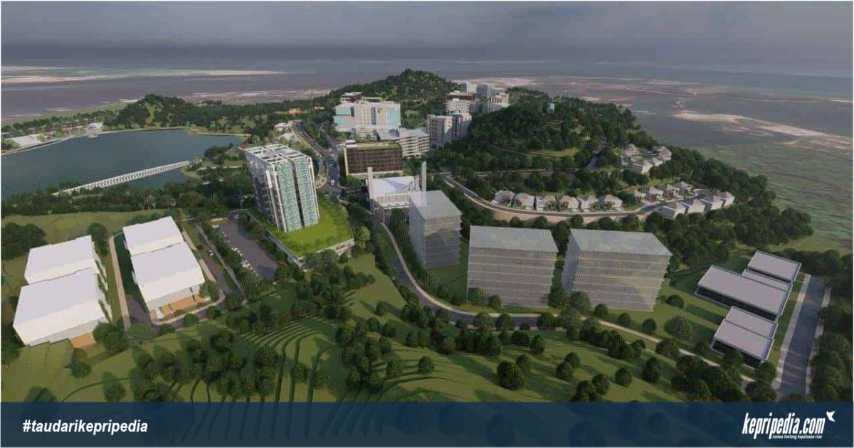 2 Kawasan Ekonomi Khusus Baru di Batam Disetujui Jokowi, Segini Potensi ...