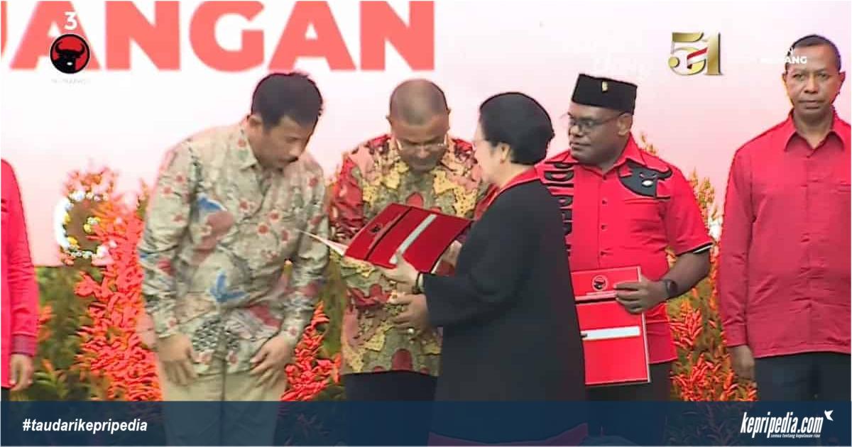 PDI Perjuangan Usung Rudi-Rafiq Maju Pilgub Kepri