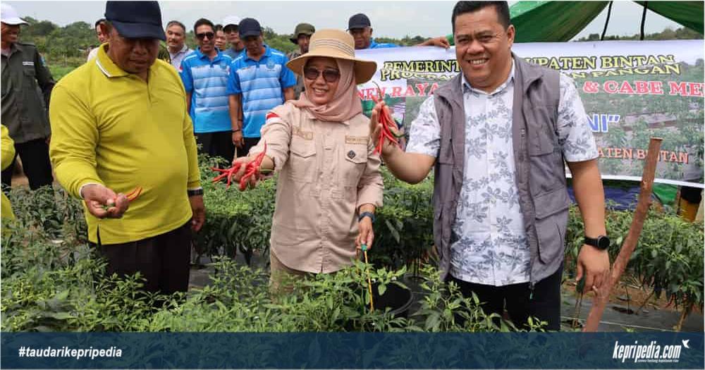 Sekda Bintan Panen Bersama Kelompok Tani di Sebong Pereh