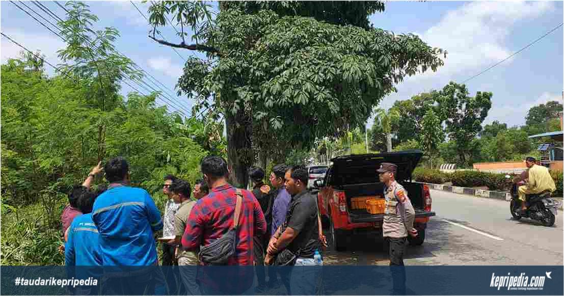 Petugas PLN di Karimun Tewas Tersetrum Kabel Tegangan Tinggi